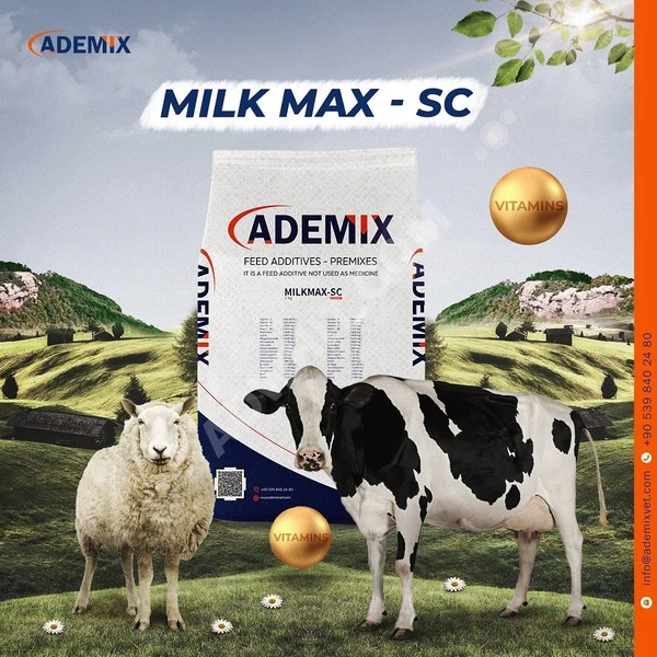 A food supplement for cows to increase production and raise the quality ...